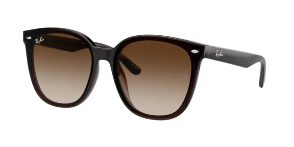 Ray-ban Sunglasses - Brown
