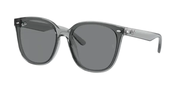 Ray-ban Sunglasses - Dark Brown