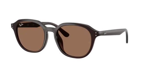 Ray-ban Sunglasses - Dark Brown