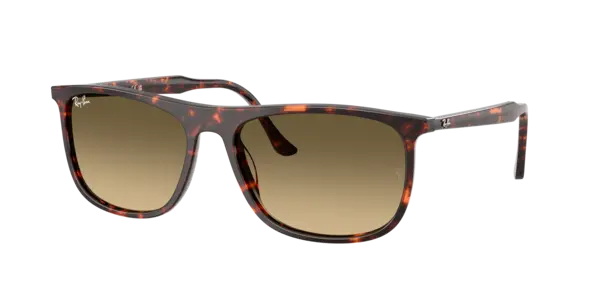 Ray-ban Sunglasses - Brown Vintage Gradient Black