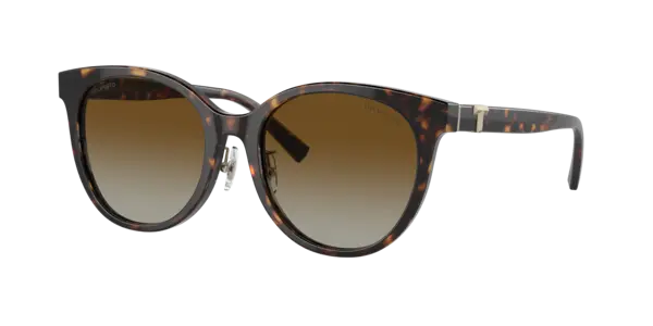 Tiffany & Co. Sunglasses - Polar Brown Gradient