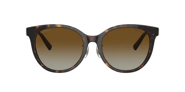 Tiffany & Co. Sunglasses - Polar Brown Gradient