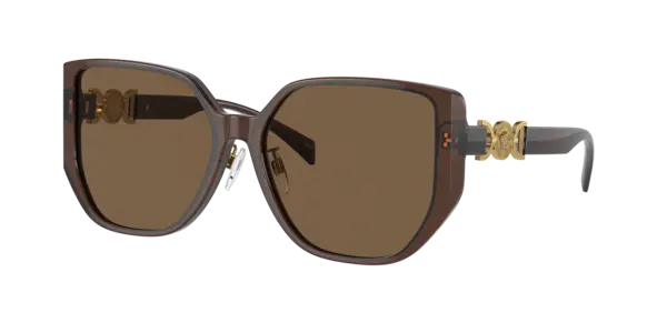Versace Full Rim Sunglasses - Dark Brown