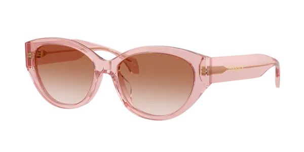 Versace Sunglasses - Pink Gradient