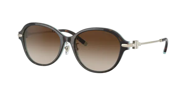 Tiffany & Co. Sunglasses - Brown Gradient