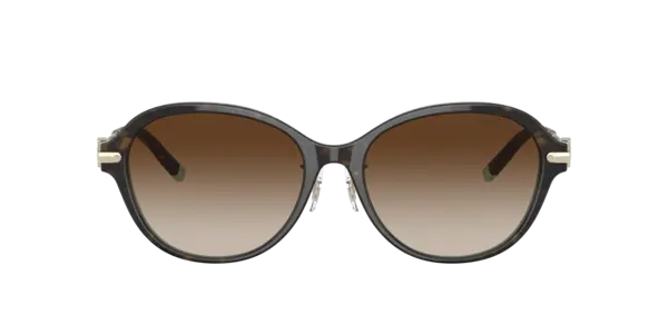 Tiffany & Co. Sunglasses - Brown Gradient