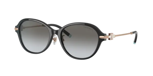 Tiffany & Co. Sunglasses - Grey Gradient