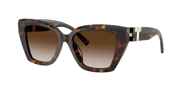 Tiffany & Co. Sunglasses - Brown Gradient