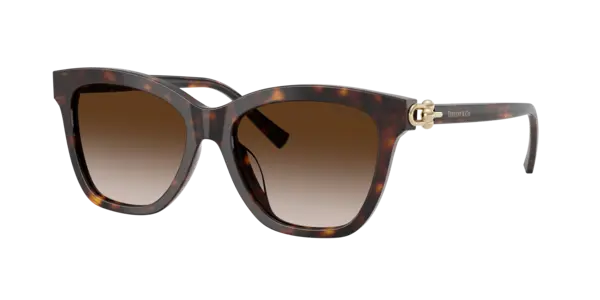 Tiffany & Co. Sunglasses - Brown Gradient