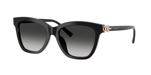 Tiffany & Co. Sunglasses - Grey Gradient