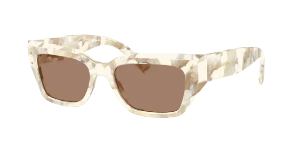 Dolce & Gabbana Sunglasses - Solid Brown