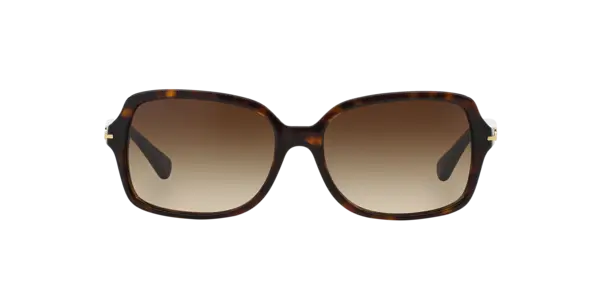 COACH Sunglasses - Brown Gradient