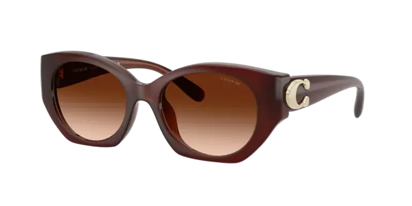 COACH Sunglasses - Brown Gradient