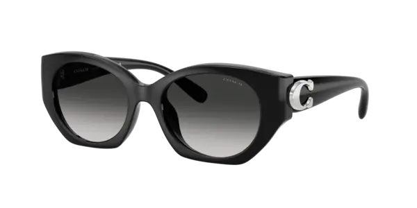 COACH Sunglasses - Grey Gradient