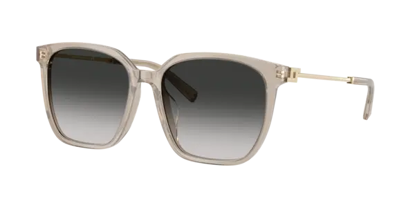 Tiffany & Co. Sunglasses - Grey Gradient