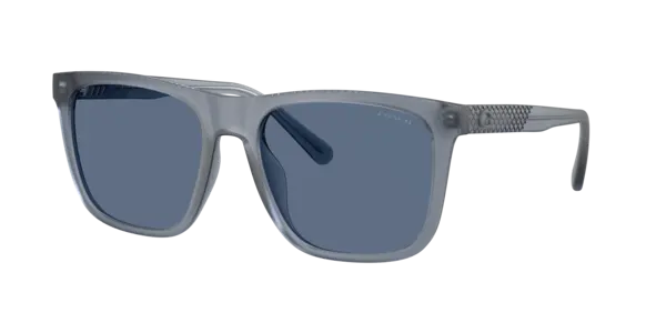 COACH Sunglasses - Blue Solid