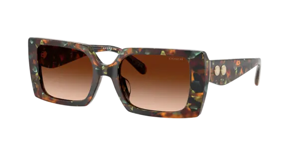 COACH Sunglasses With Tortoiseshell Frame - Brown Gradient