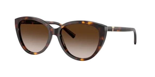 Tiffany & Co. Sunglasses - Brown Gradient