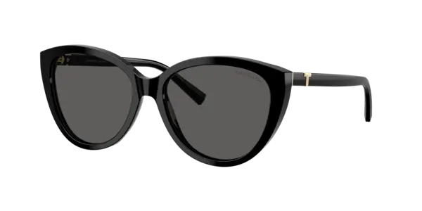 Tiffany & Co. Sunglasses - Dark Grey