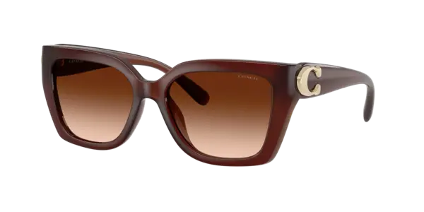 COACH Sunglasses - Brown Gradient