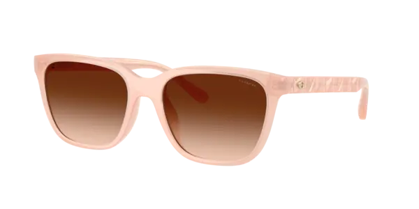 COACH Sunglasses - Brown Gradient