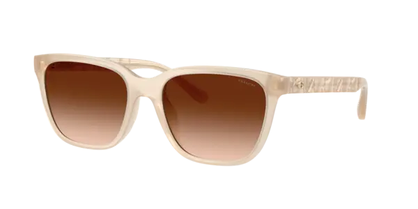 COACH Sunglasses - Brown Gradient