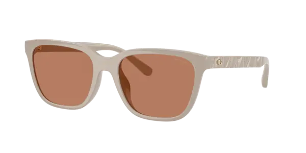 COACH Sunglasses - Brown Solid
