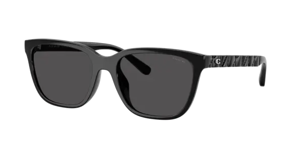 COACH Sunglasses - Grey Solid