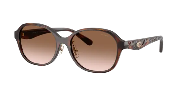 COACH Tortoiseshell Oval Sunglasses - Brown Gradient