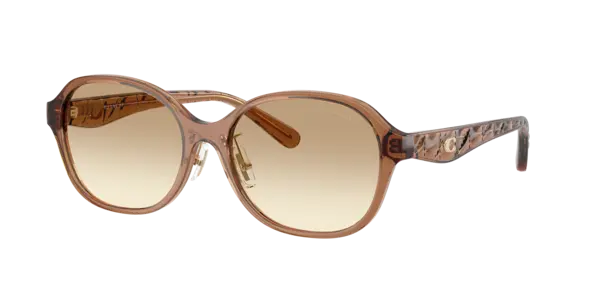 COACH Sunglasses - Clear Brown