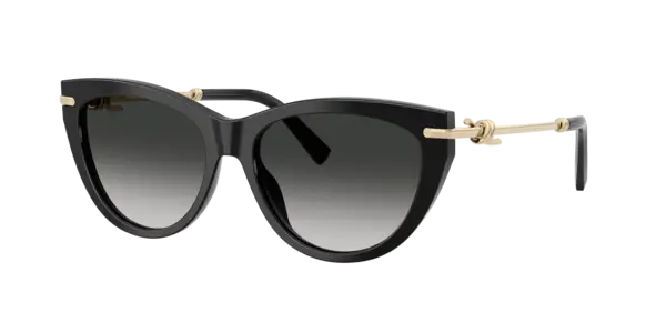 Tiffany & Co. Sunglasses - Grey Gradient