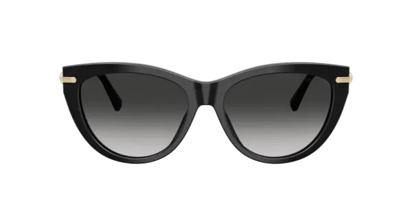 Tiffany & Co. Sunglasses - Grey Gradient