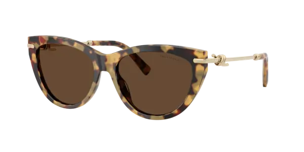 Tiffany & Co. Sunglasses - Light Brown