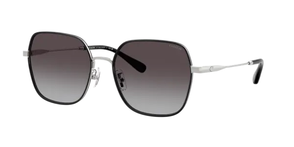 COACH Sunglasses - Grey Gradient