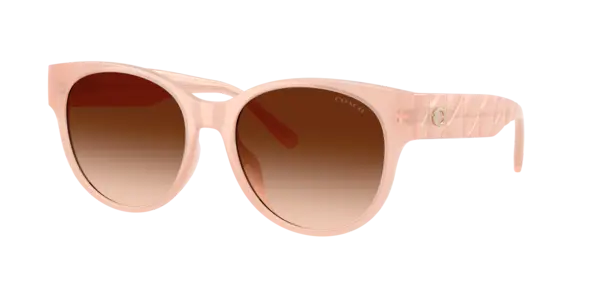 COACH Full Rim Sunglasses - Brown Gradient