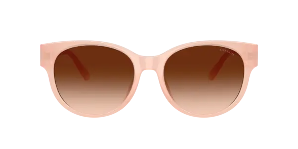 COACH Full Rim Sunglasses - Brown Gradient