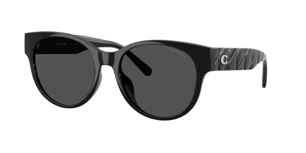 COACH Sunglasses - Grey Solid