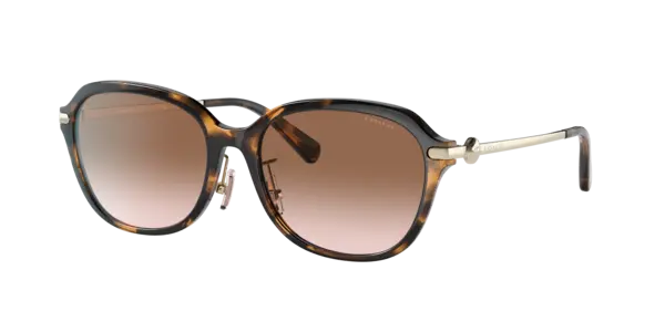 COACH Full Rim Sunglasses - Brown Gradient