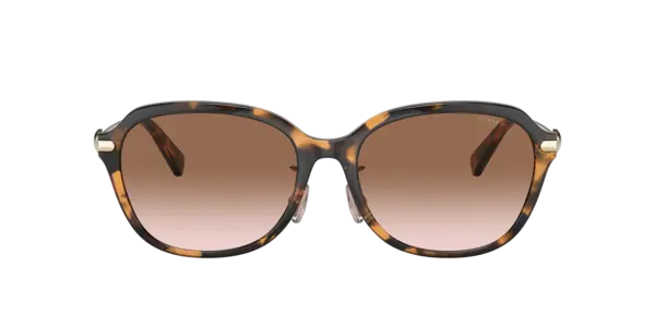 COACH Sunglasses - Brown Gradient