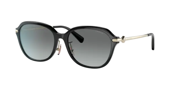 COACH Sunglasses C6199 - Grey Gradient