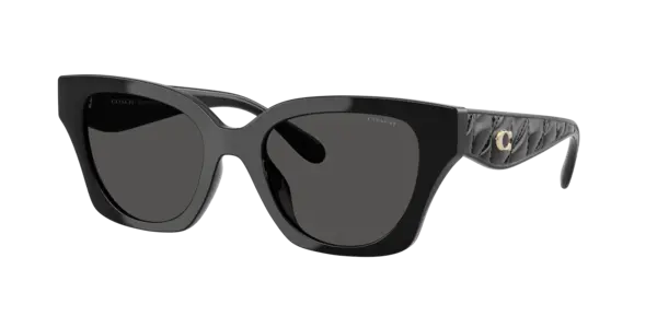 COACH Sunglasses - Grey Gradient Polarized