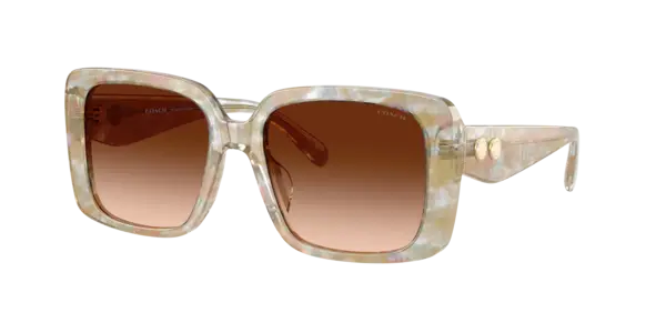 COACH Sunglasses - Brown Gradient