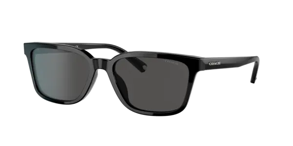 COACH Square Frame Sunglasses - Dark Grey Solid