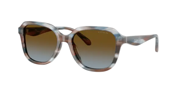 COACH Striated Redwood And Maple Frame Sunglasses - Brown Blue Gradient