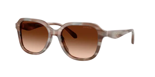 COACH Striated Redwood And Maple Frame Sunglasses - Brown Gradient