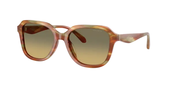 COACH Striated Redwood And Maple Frame Sunglasses - Green Grey Gradient