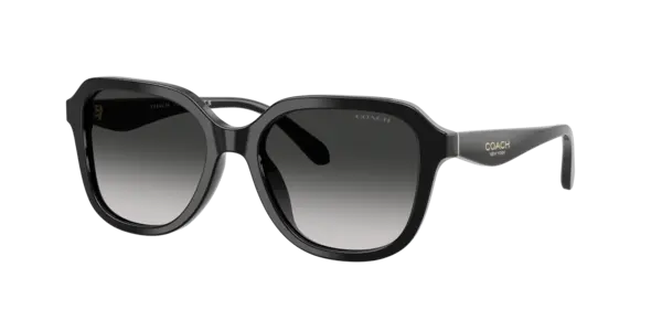 COACH Sunglasses - Grey Gradient