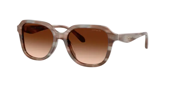 COACH Full Rim Sunglasses - Brown Gradient