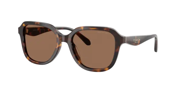 Coach Sunglasses - Brown Solid