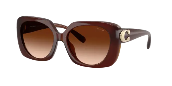 COACH Sunglasses With Logo - Brown Gradient